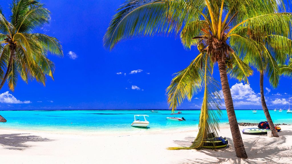 Best Palm Tan Beaches You Need to Visit This Year